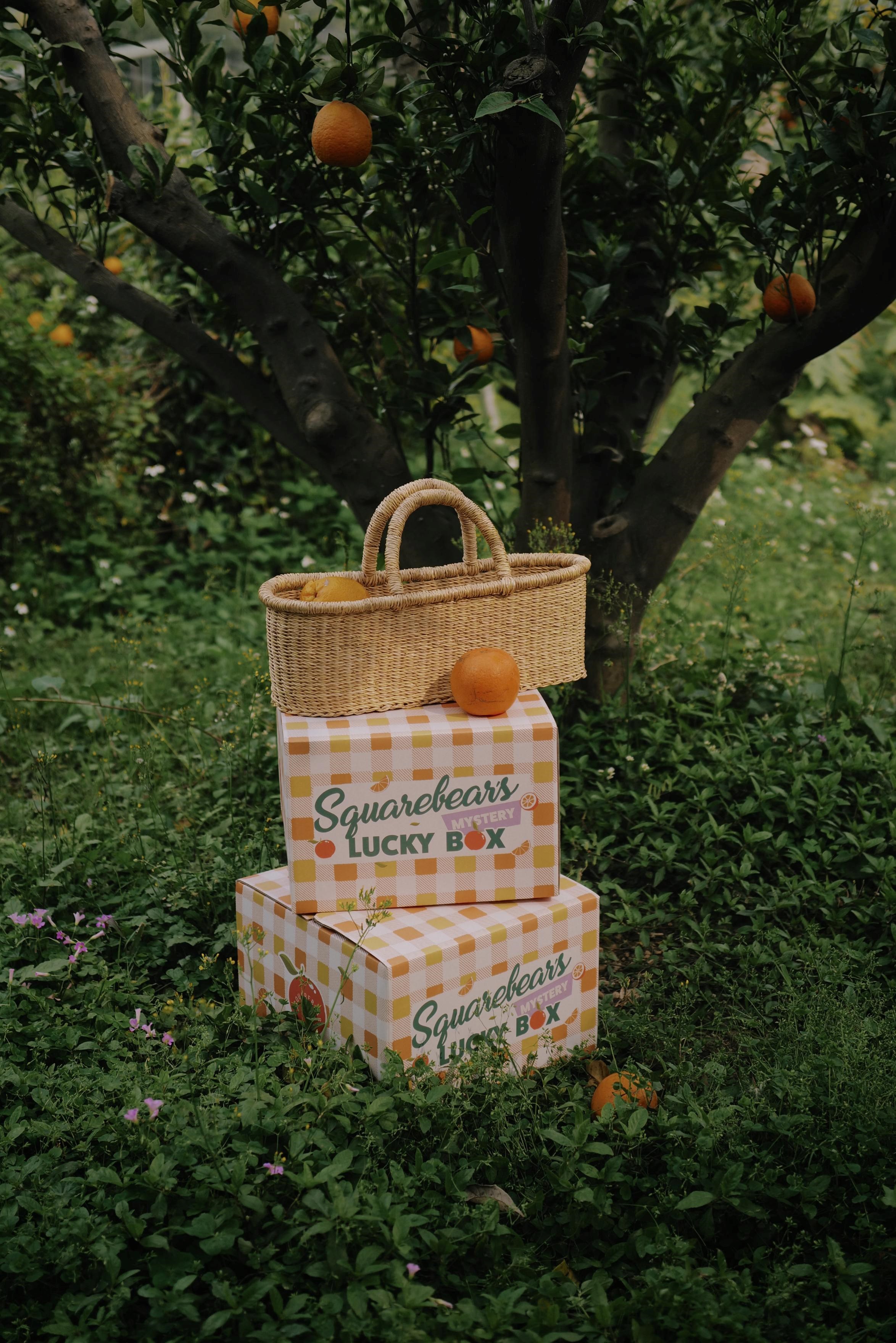 Squarebear’s Lucky Box ｜ Squarebear.