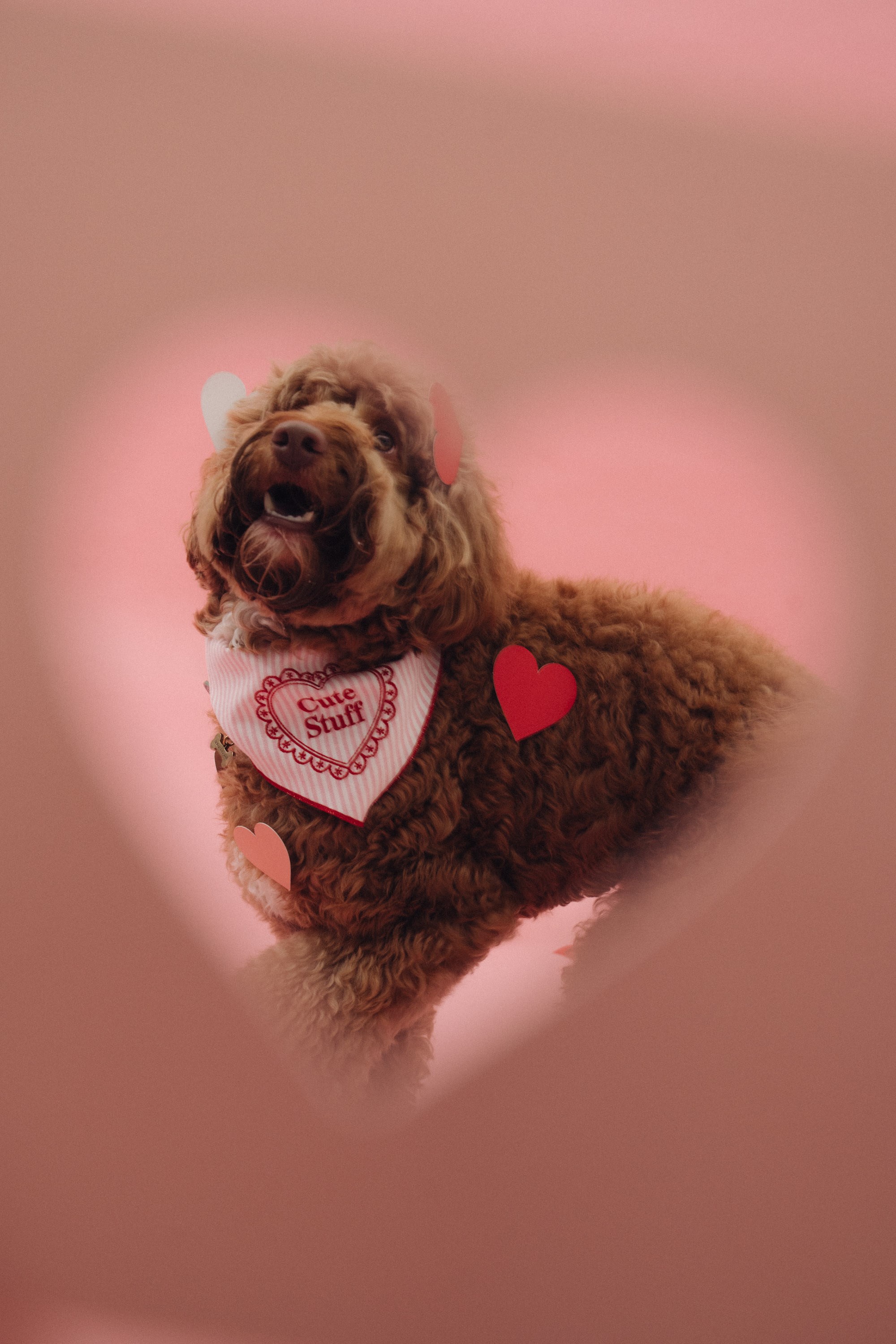 Cute Stuff Bandana ｜ Squarebear.